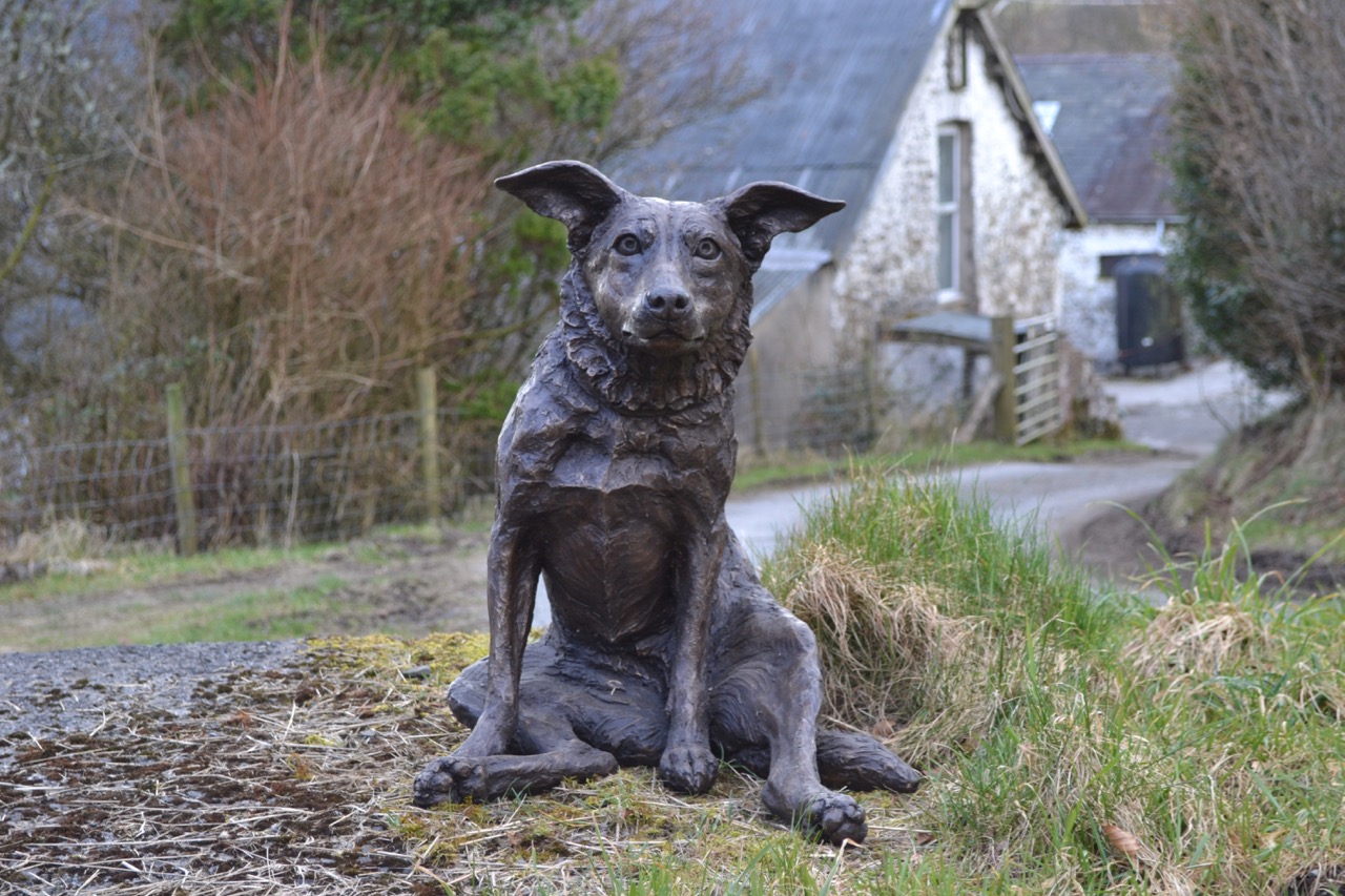 Bronze Border Collie Sculpture | Sitting Border Collie Garden Statue