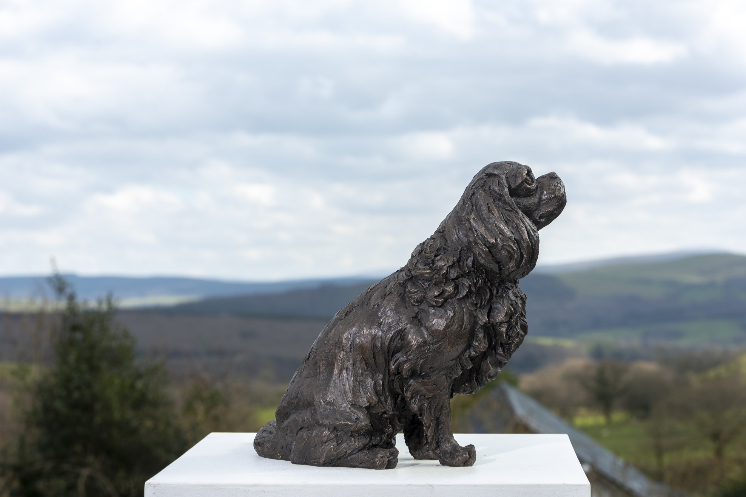 Cavalier King Charles Spaniel Sculpture | King Charles Spaniel Statue