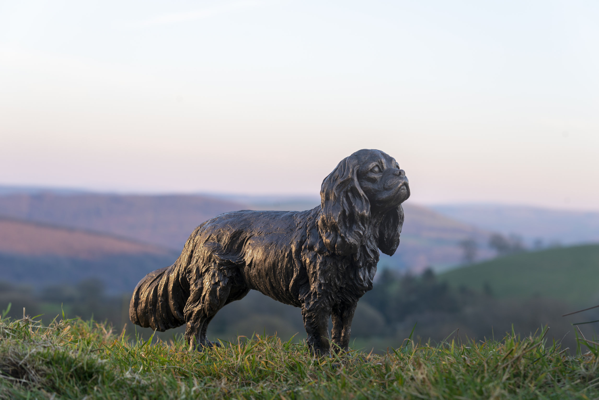 Bronze Cavalier King Charles Spaniel Sculpture | Dog Garden Statue