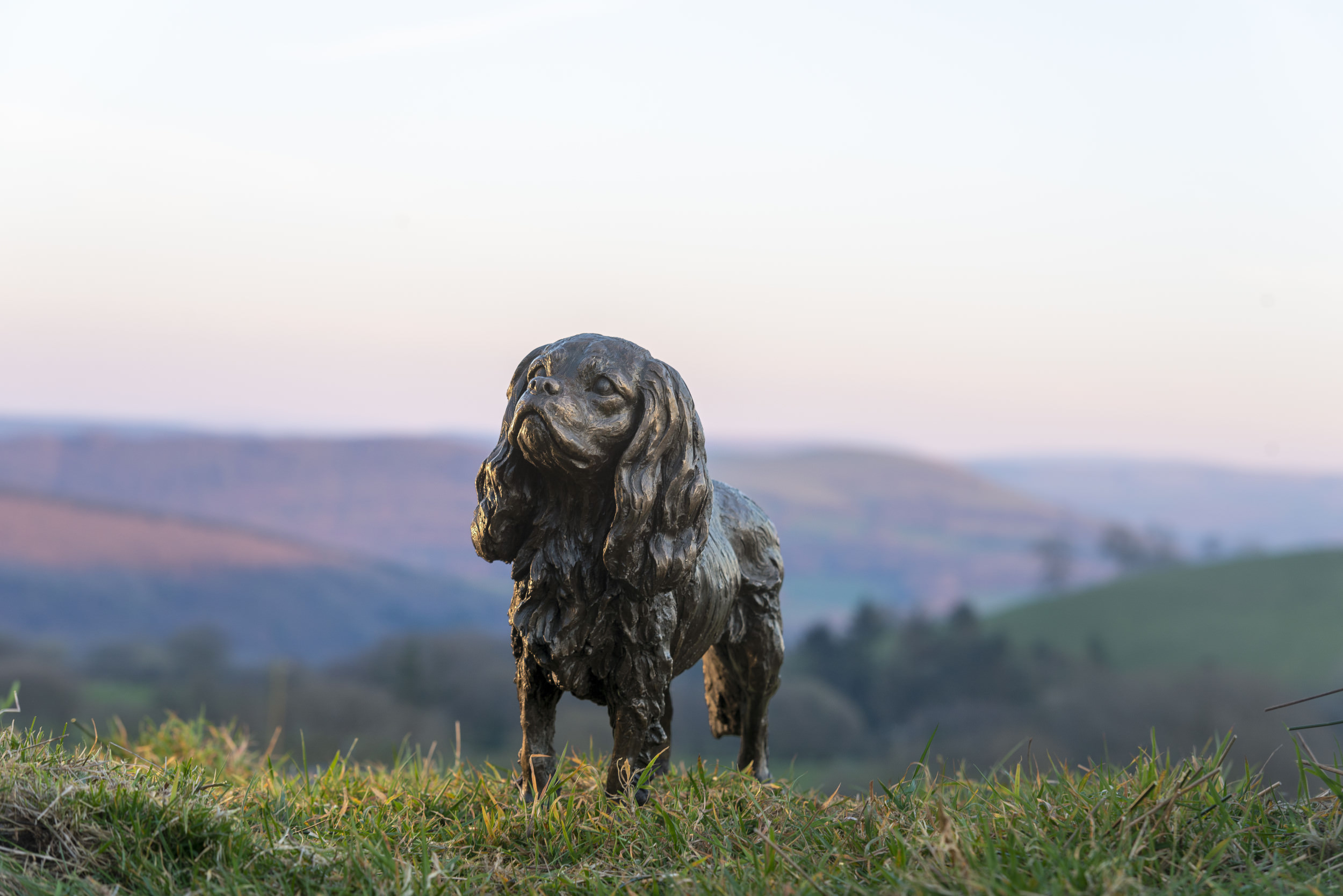 Bronze Cavalier King Charles Spaniel Sculpture | Dog Garden Statue