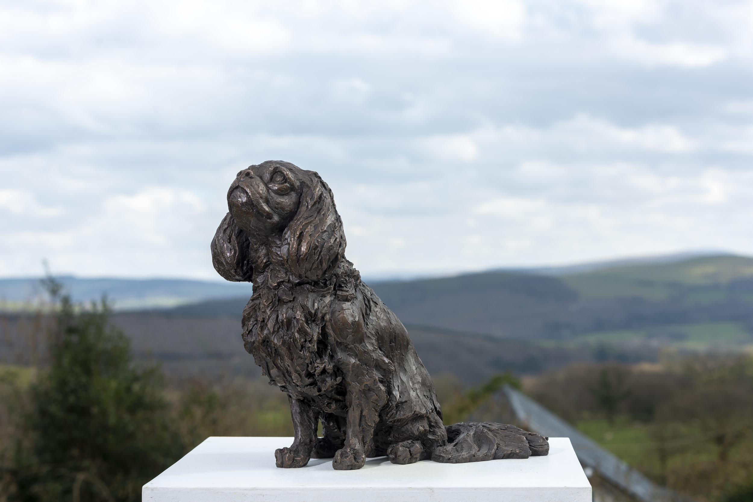 Cavalier King Charles Spaniel Sculpture | King Charles Spaniel Statue