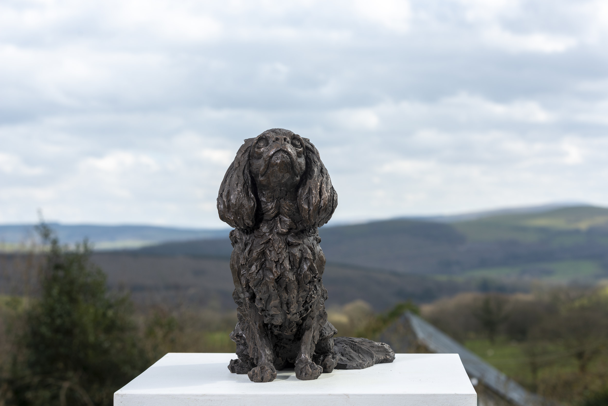SITTING CAVALIER KING CHARLES SPANIEL SCULPTURE | Tanya Russell