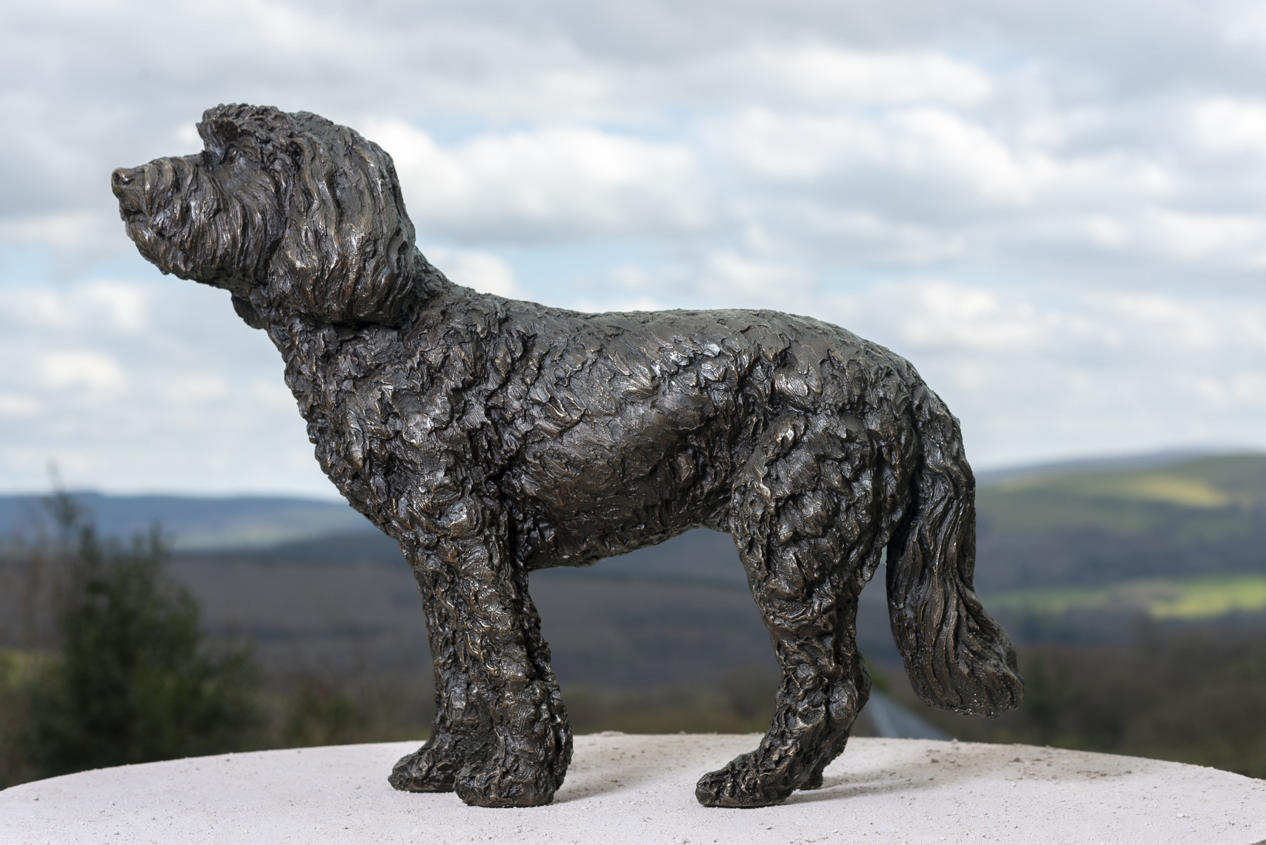 Bronze Cockapoo sculpture by Tanya Russell | Cockapoo Statue