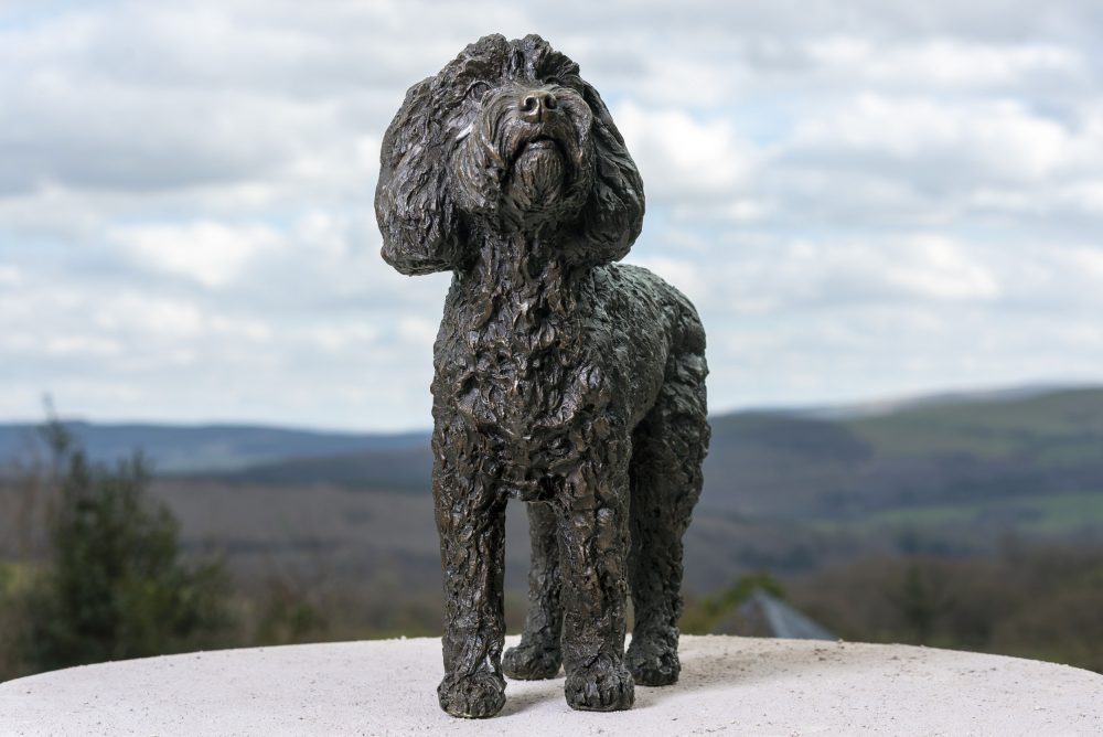 Bronze Cockapoo sculpture by Tanya Russell | Cockapoo Statue