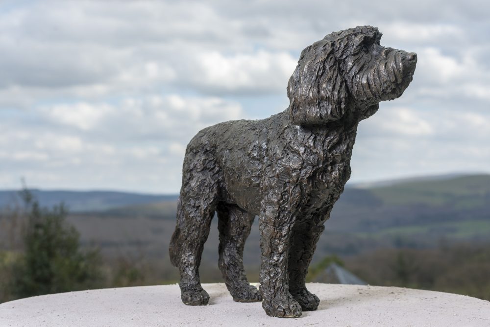 Bronze Cockapoo sculpture by Tanya Russell | Cockapoo Statue