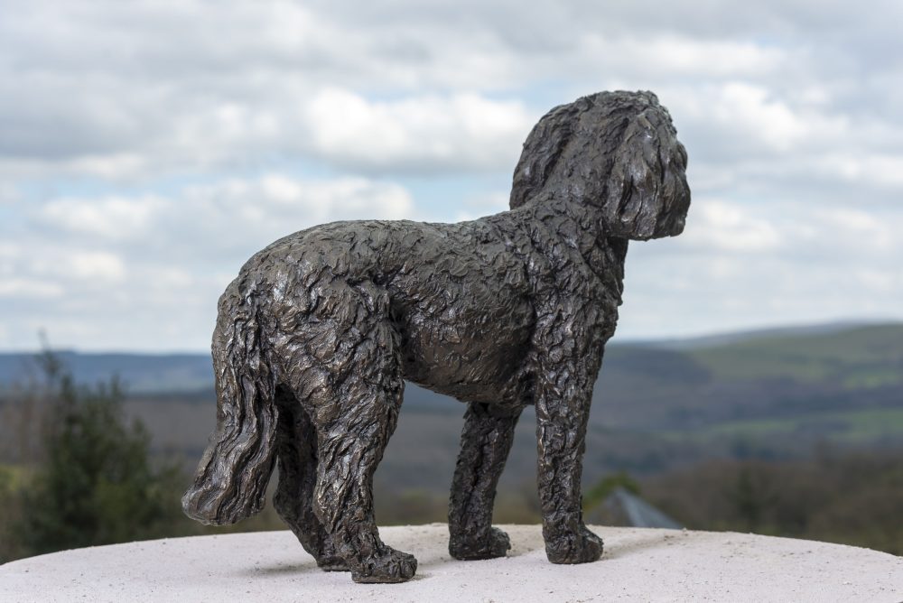 Bronze Cockapoo sculpture by Tanya Russell | Cockapoo Statue