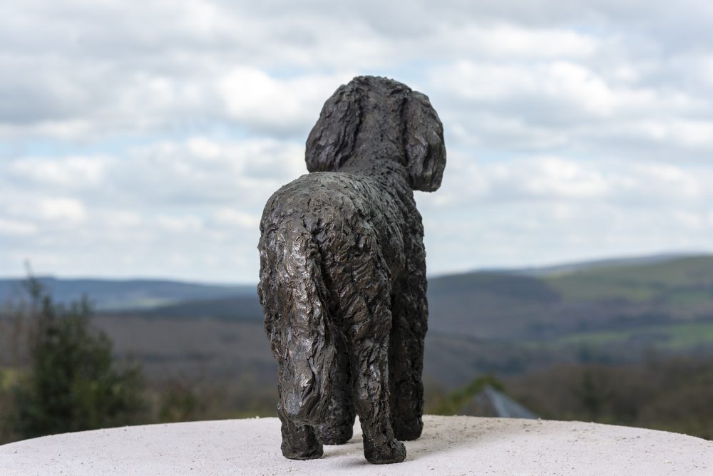Bronze Cockapoo sculpture by Tanya Russell | Cockapoo Statue