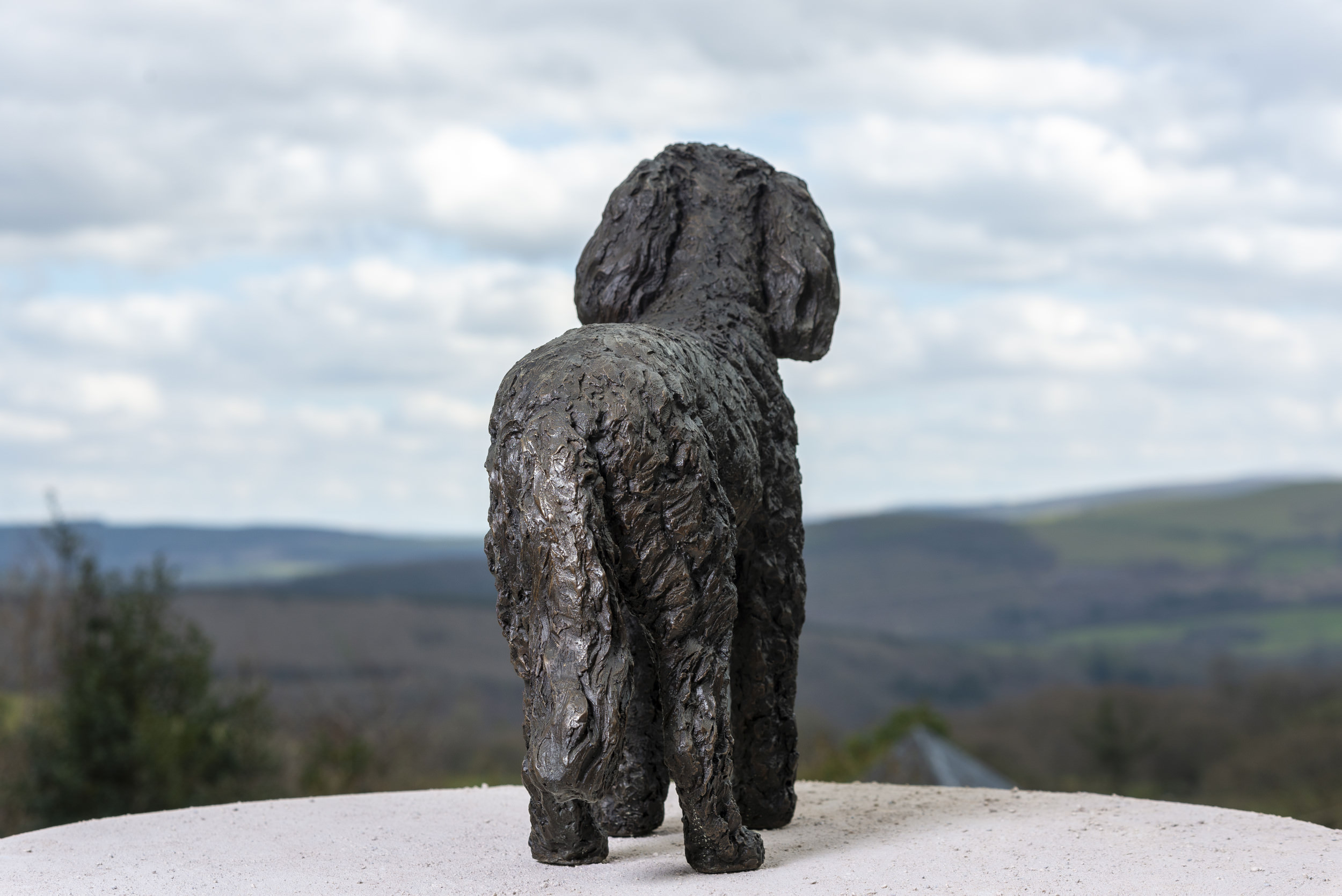 Bronze Cockapoo sculpture by Tanya Russell | Cockapoo Statue