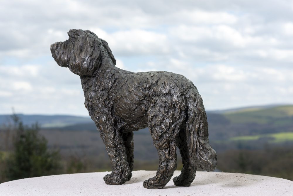 Bronze Cockapoo sculpture by Tanya Russell | Cockapoo Statue