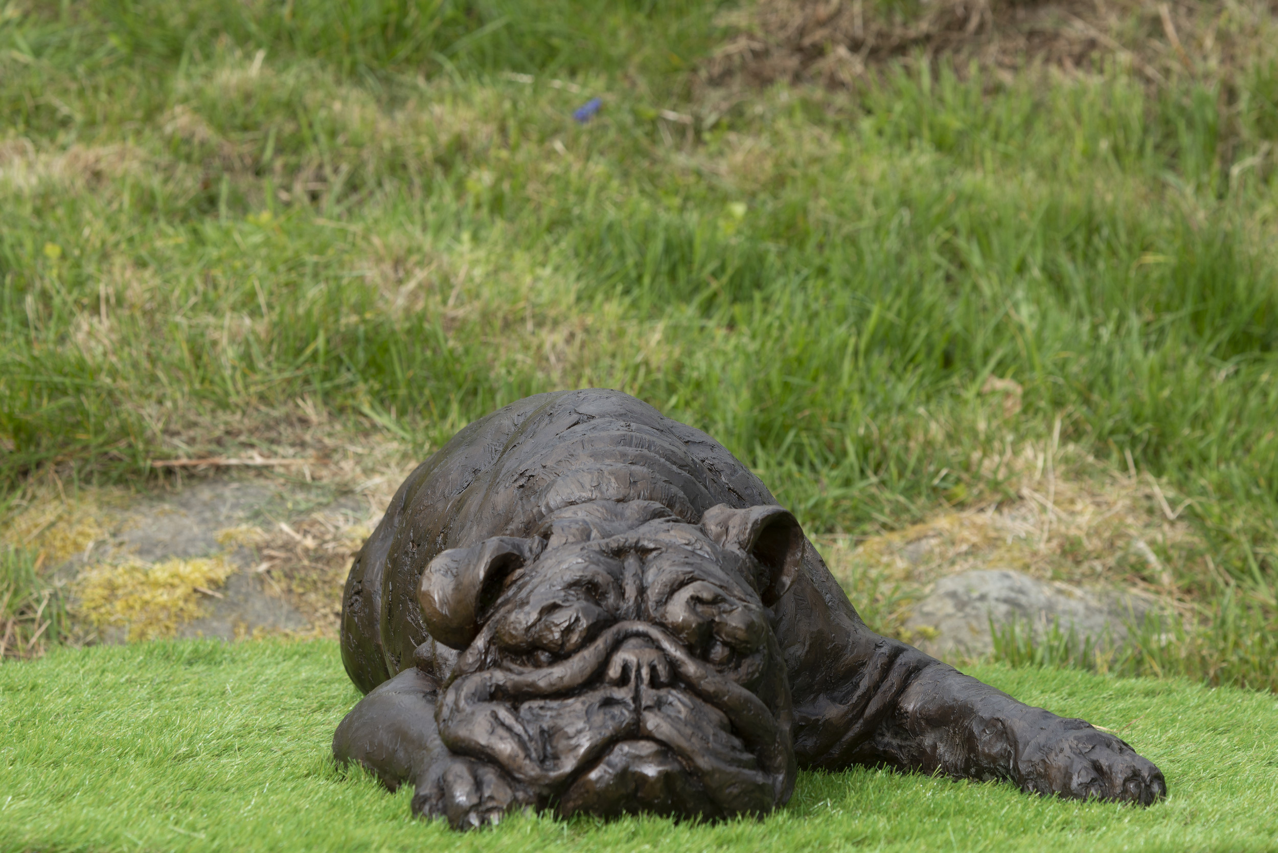 LYING ENGLISH BULLDOG SCULPTURE | Tanya Russell