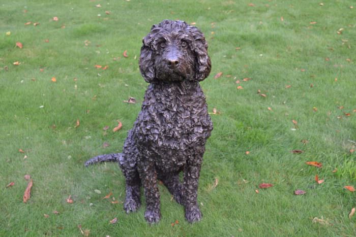 Bronze Sitting Labradoodle sculpture by Tanya Russell