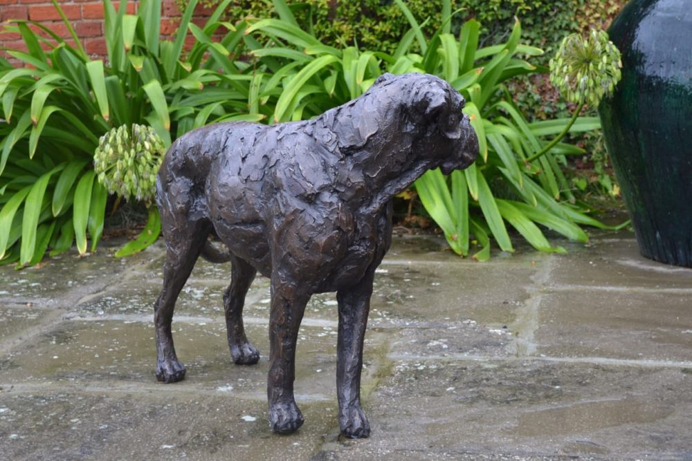 Bronze Boxer Sculpture | Boxer Dog Statue | Boxer Dog Garden Statue