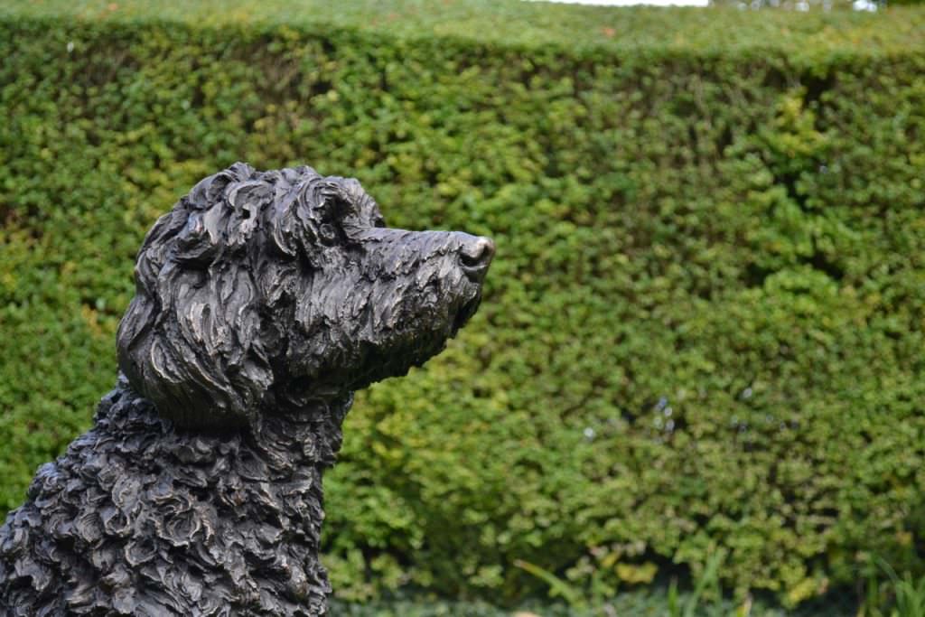 Bronze Sitting Labradoodle sculpture by Tanya Russell