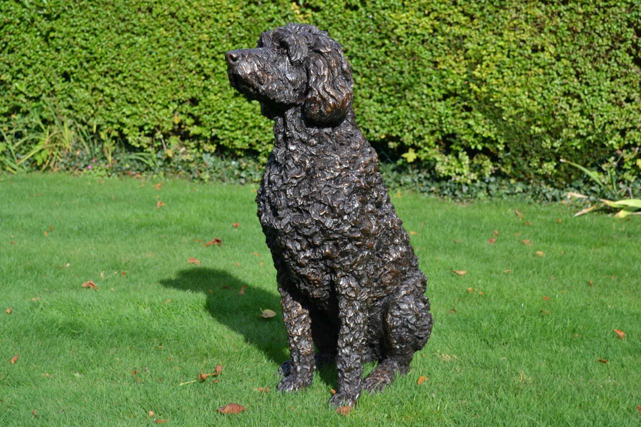 Bronze Labradoodle sculpture | Bronze Labradoodle statue