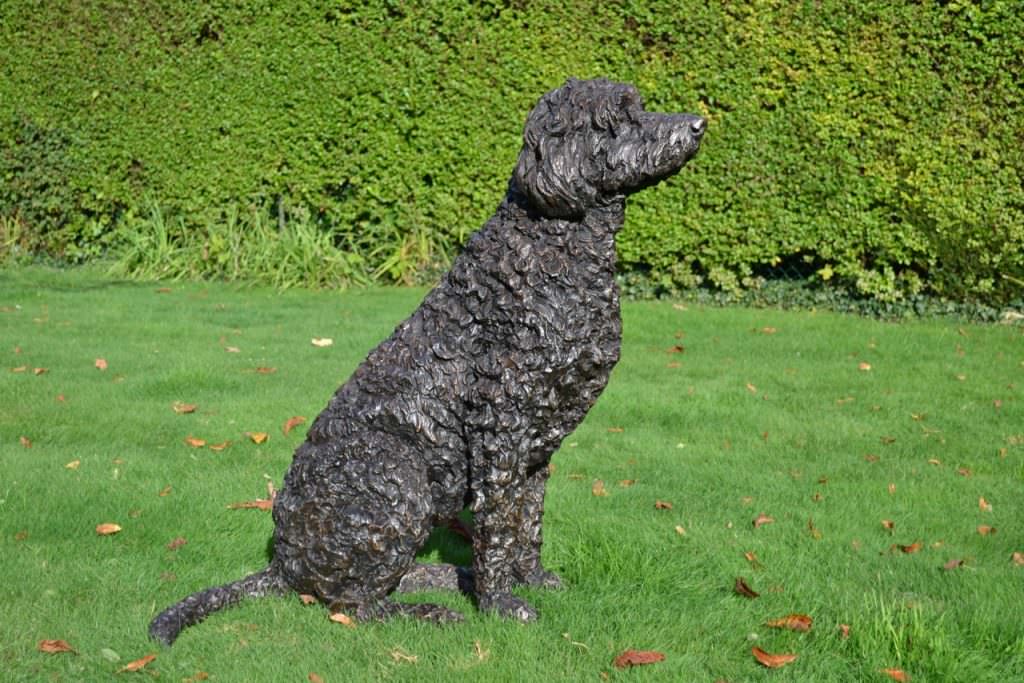 Bronze Sitting Labradoodle sculpture by Tanya Russell