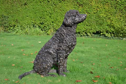 Bronze Labradoodle sculpture | Bronze Labradoodle statue