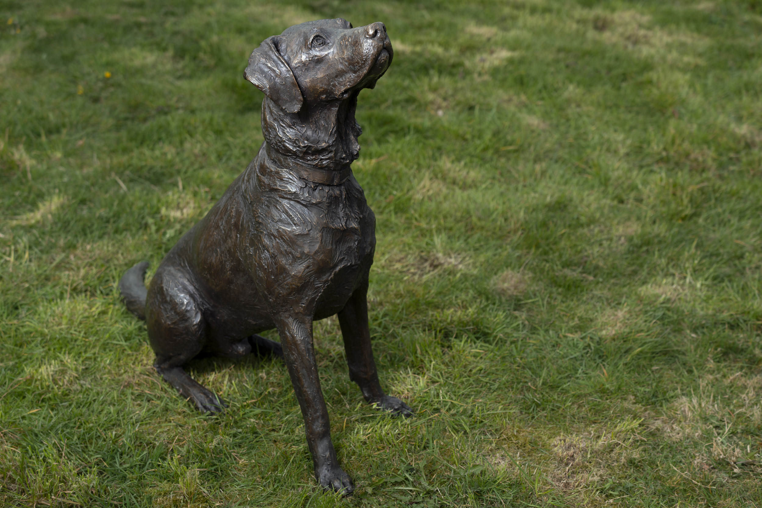Bronze Labrador sculpture | Labrador garden statue | Labrador statue