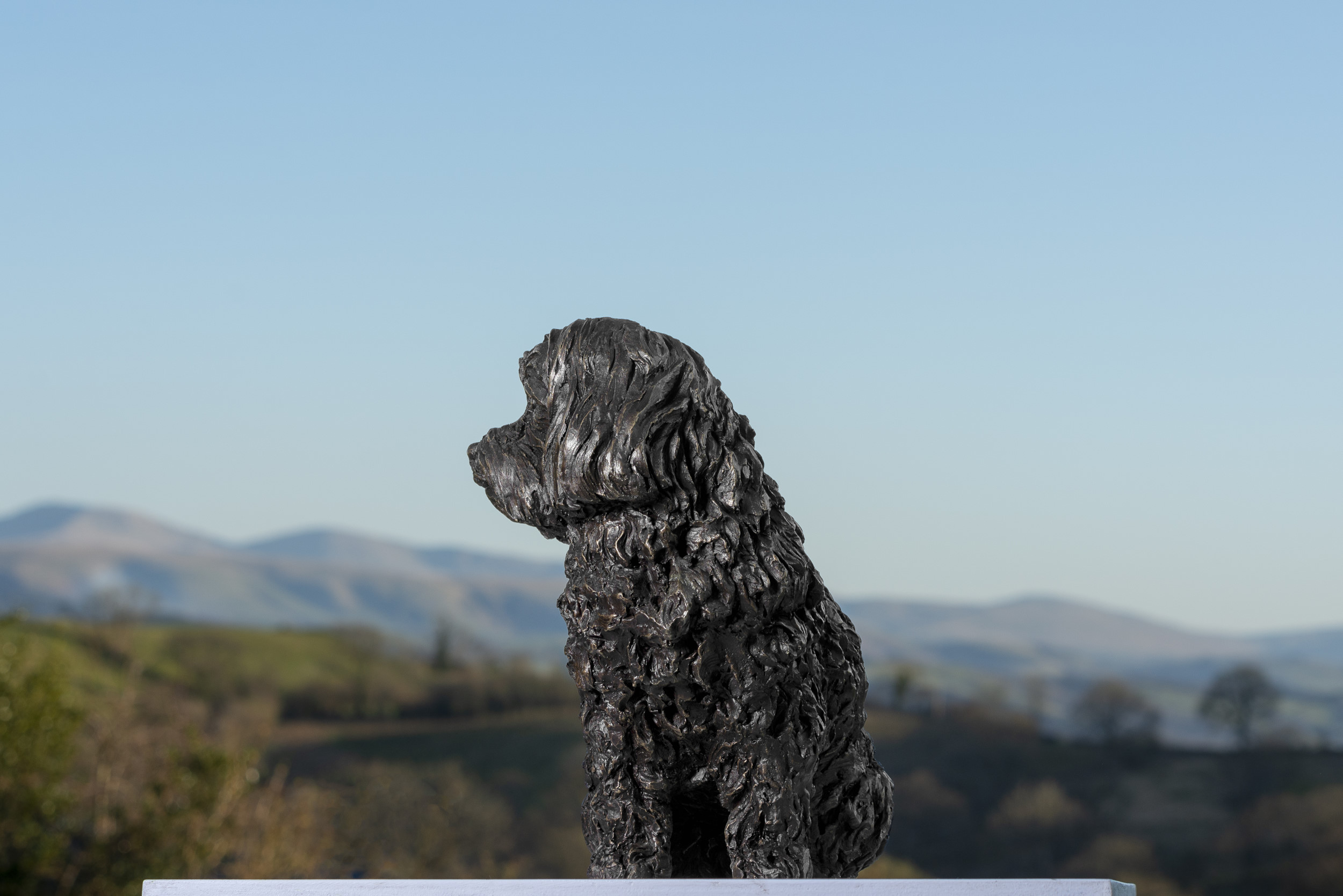 Bronze Sitting Maltese Terrier Sculpture | Maltese Terrier Statue