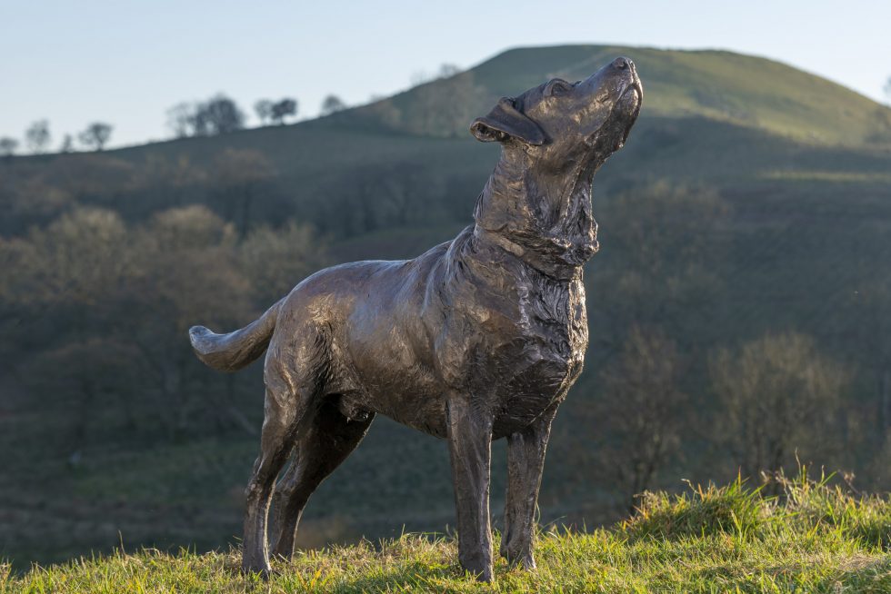 Bronze Labrador sculpture | Labrador statue | Labrador garden ornament