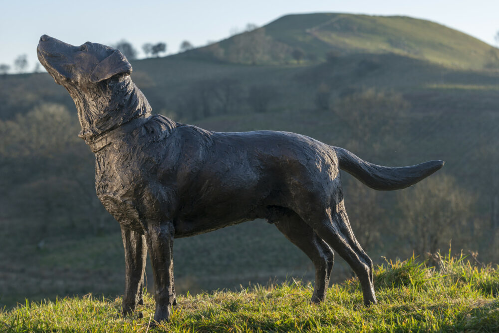 STANDING LABRADOR SCULPTURE | Tanya Russell
