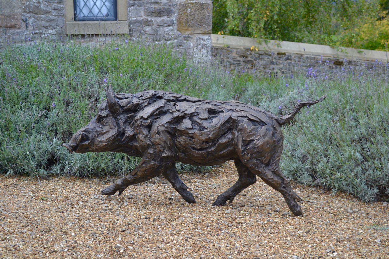 Running Wild Boar Sculpture | Bronze Boar Statue - Tanya Russell