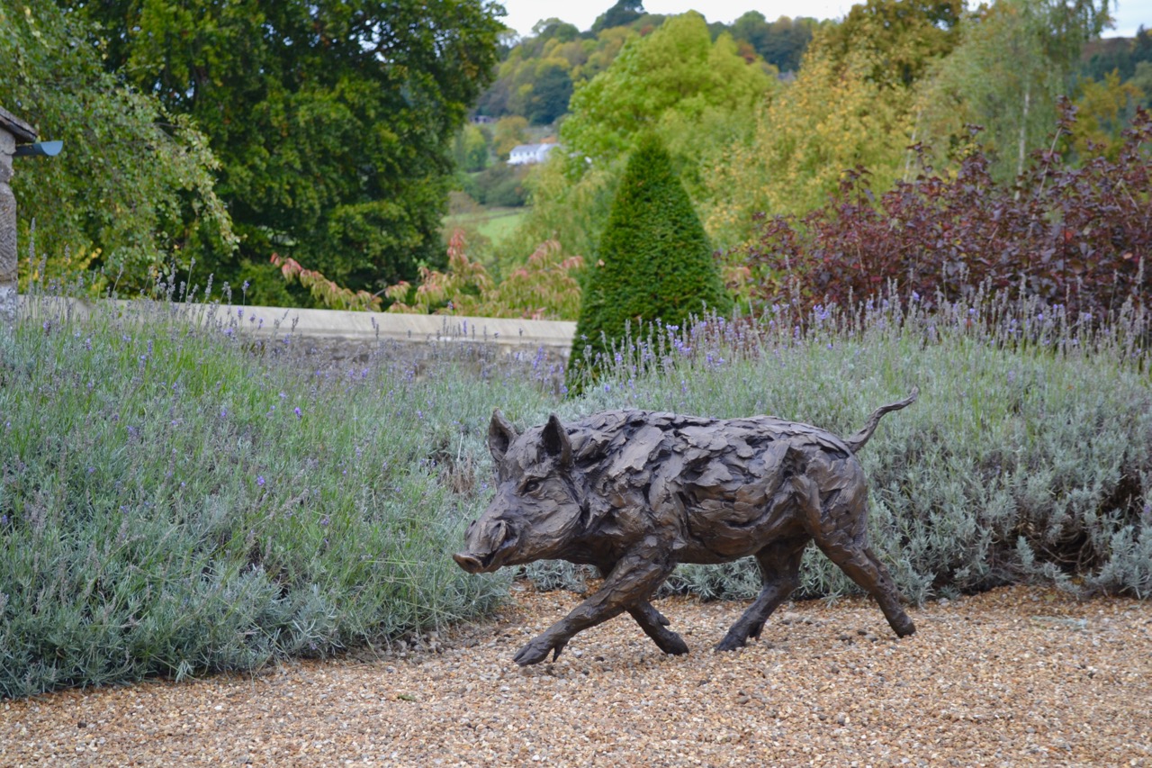 Running Wild Boar Sculpture | Bronze Boar Statue - Tanya Russell