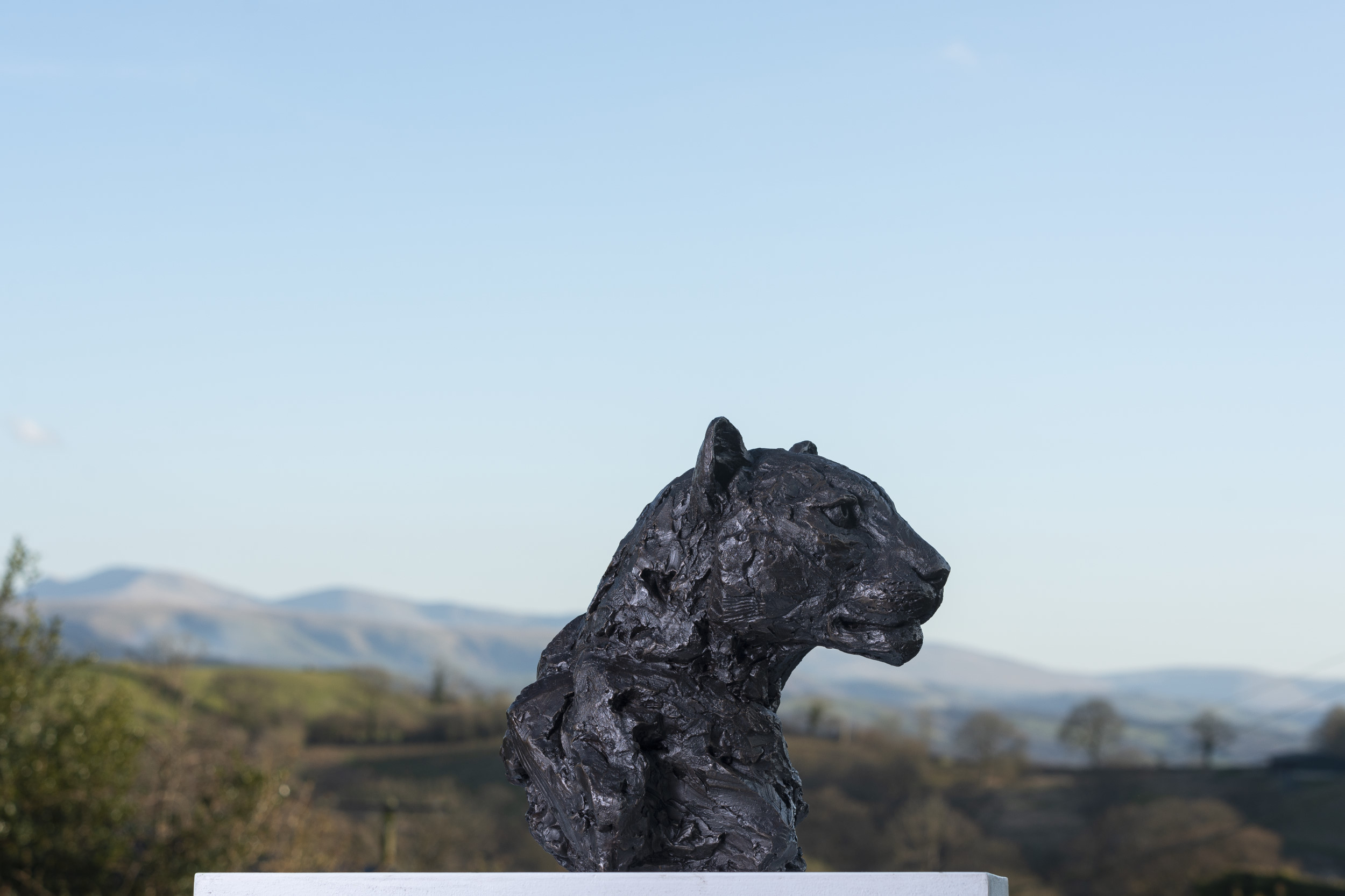 Bronze Leopard Portrait Sculpture | Bronze Leopard Statue | Outdoor