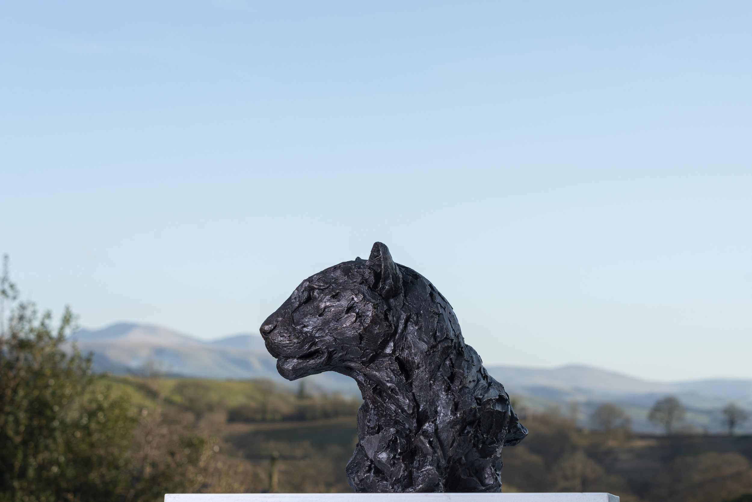 LEOPARD PORTRAIT SCULPTURE | Tanya Russell