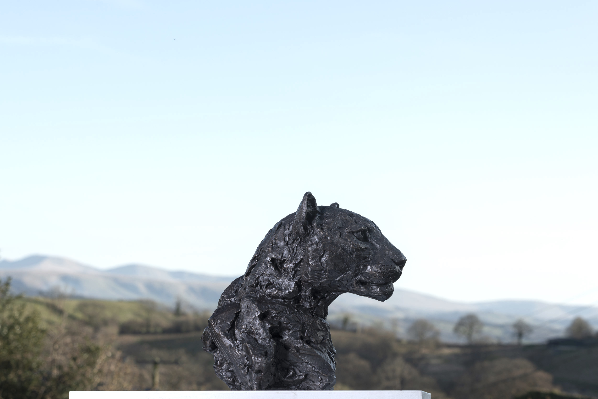 Bronze Leopard Portrait Sculpture | Bronze Leopard Statue | Outdoor