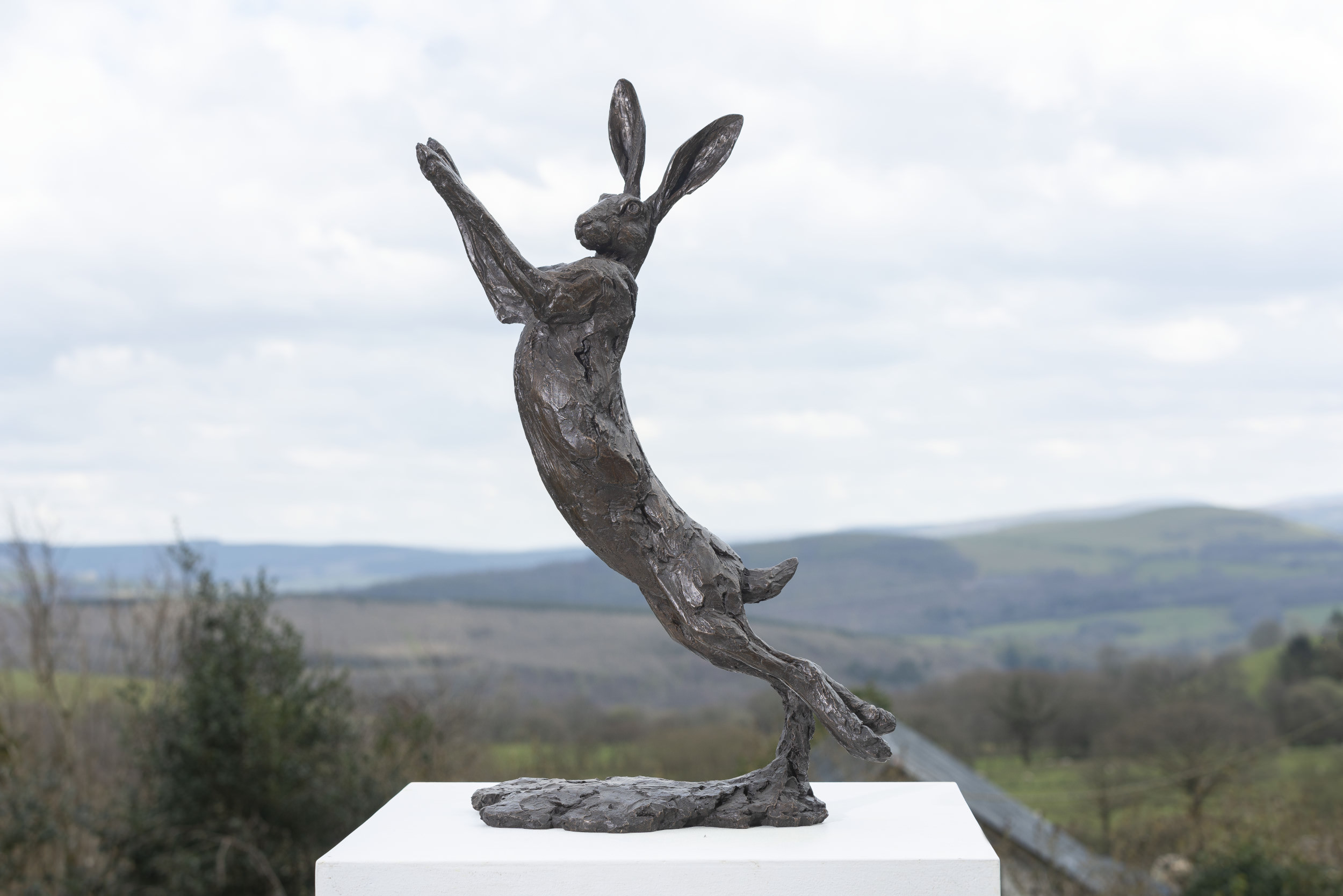 Bronze Spring Hare Sculpture | Bronze Hare Statue | Tanya Russell