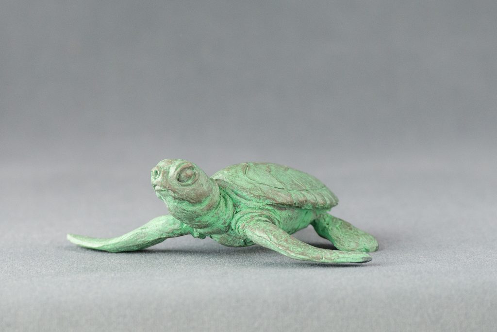 PAIR OF BABY TURTLES SCULPTURE | Tanya Russell