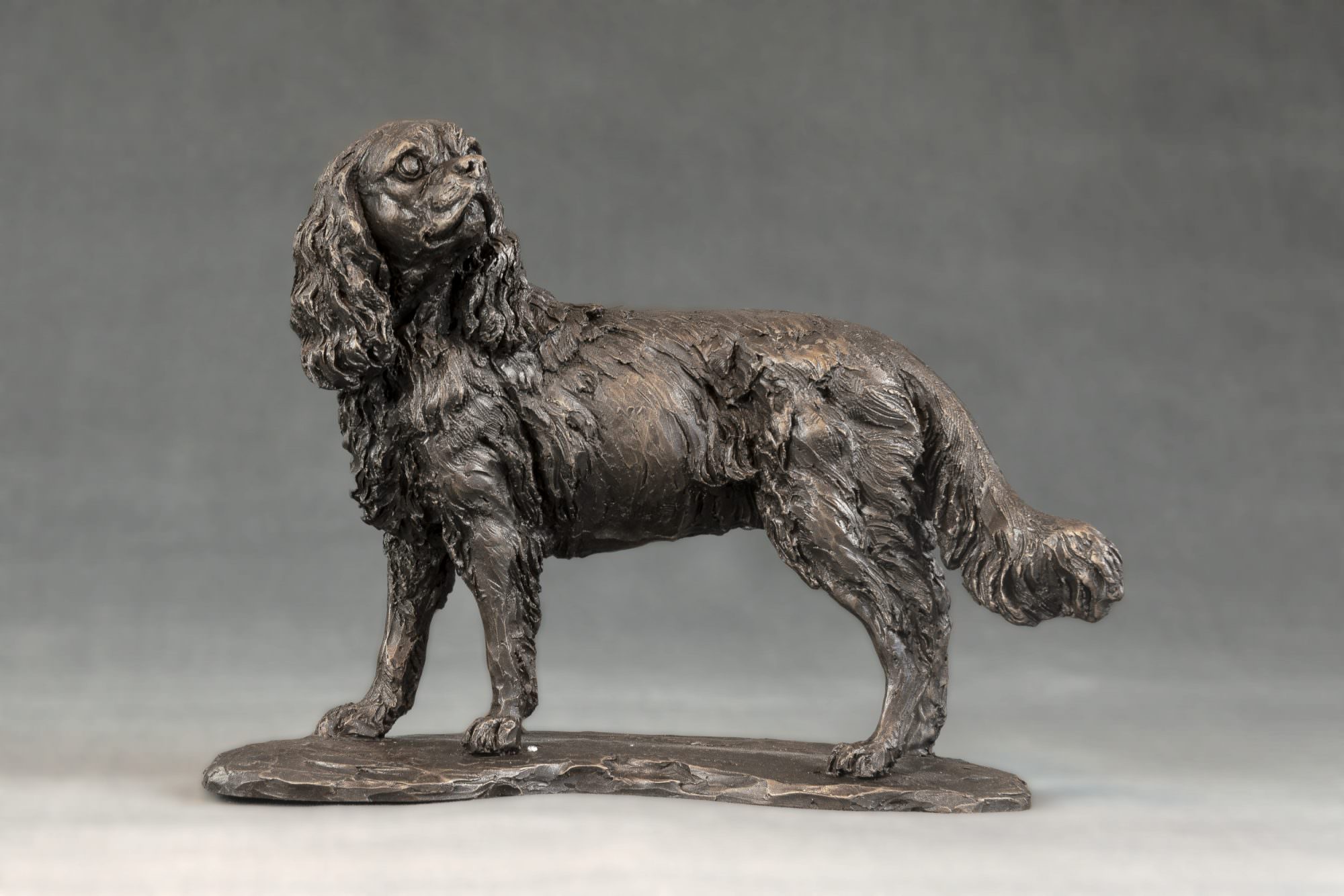 Bronze Standing Cavalier King Charles Spaniel sculpture by sculptor ...