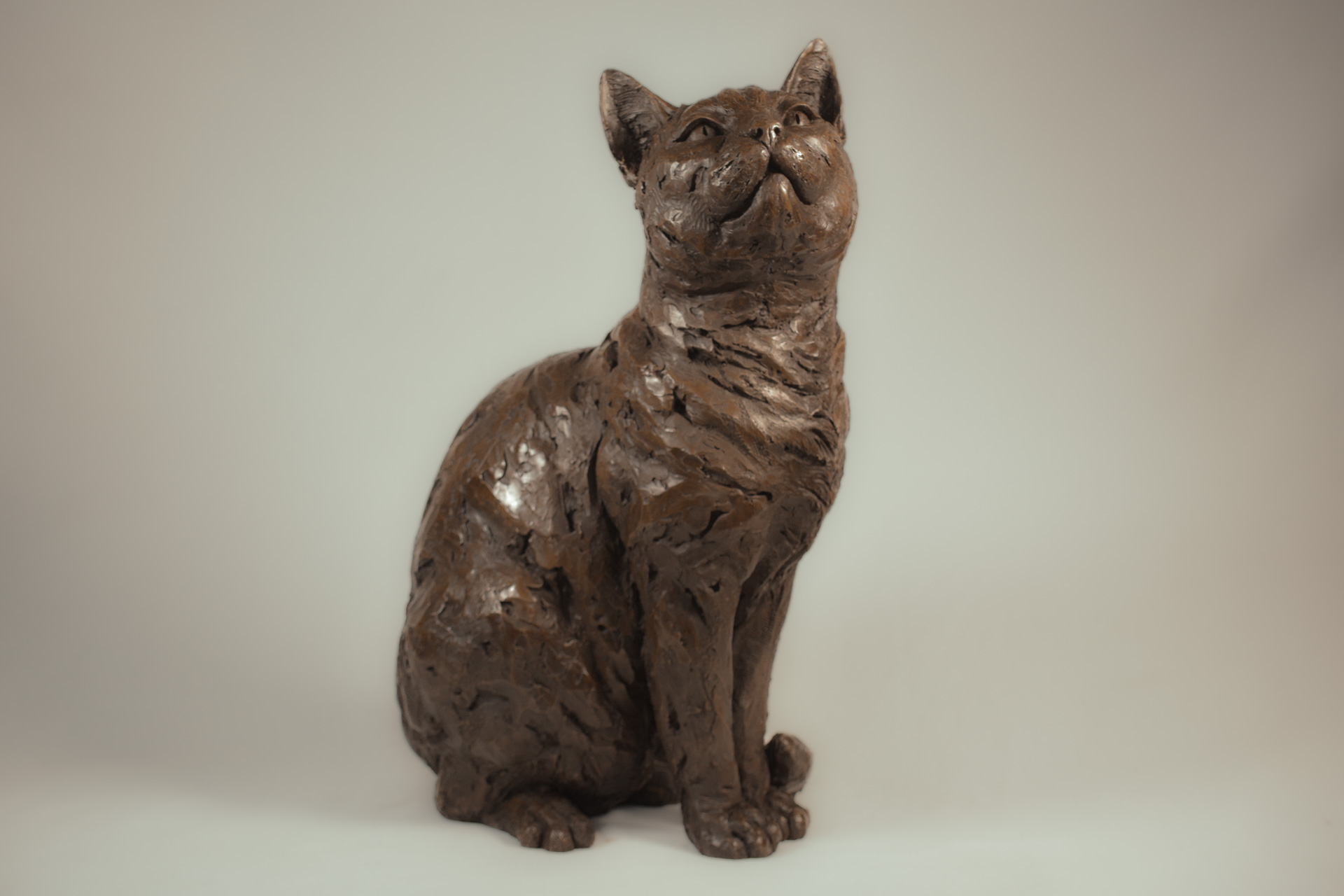 Sitting Life-Size Cat Sculpture | Bronze Cat Statue | Cat Ornament