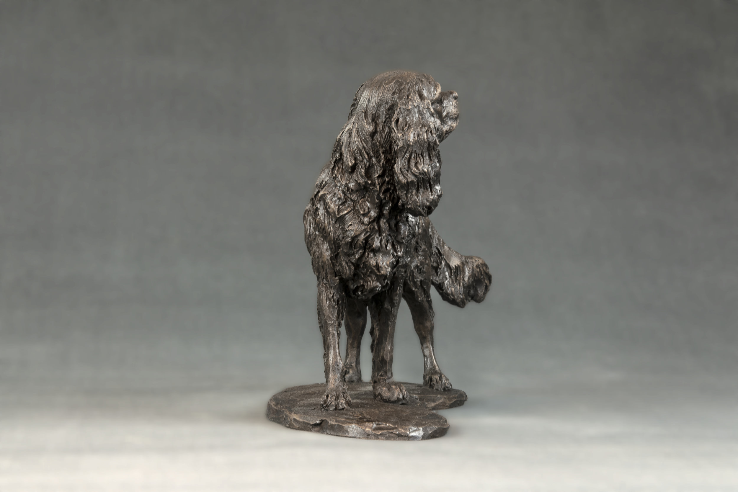 Bronze Standing Cavalier King Charles Spaniel Sculpture | Dog Statue