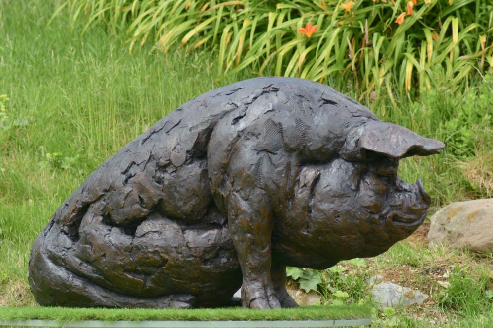 Sitting Life Size Pig Sculpture | Bronze Pig Statue by Tanya Rusell