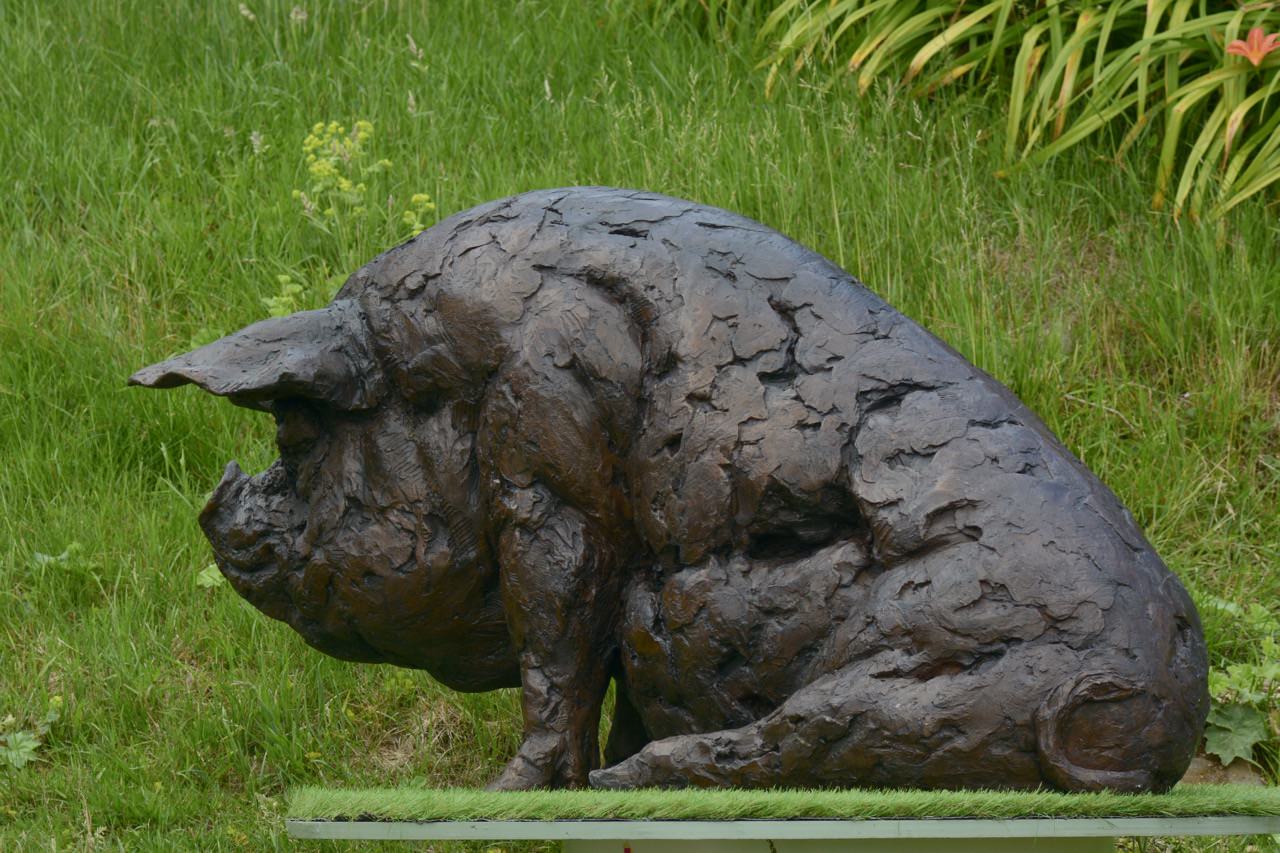 Sitting Life Size Pig Sculpture | Bronze Pig Statue by Tanya Rusell