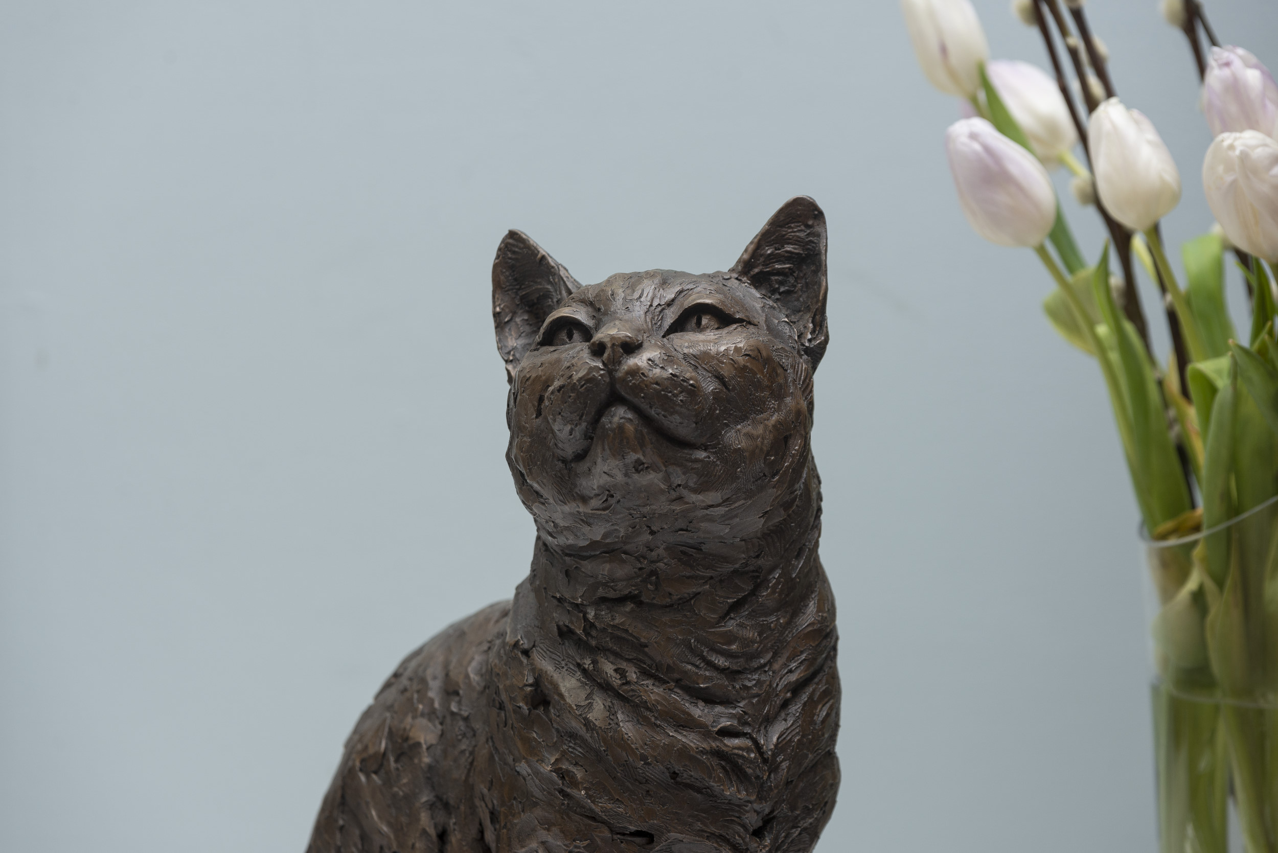 Sitting Life-Size Cat Sculpture | Bronze Cat Statue | Cat Ornament