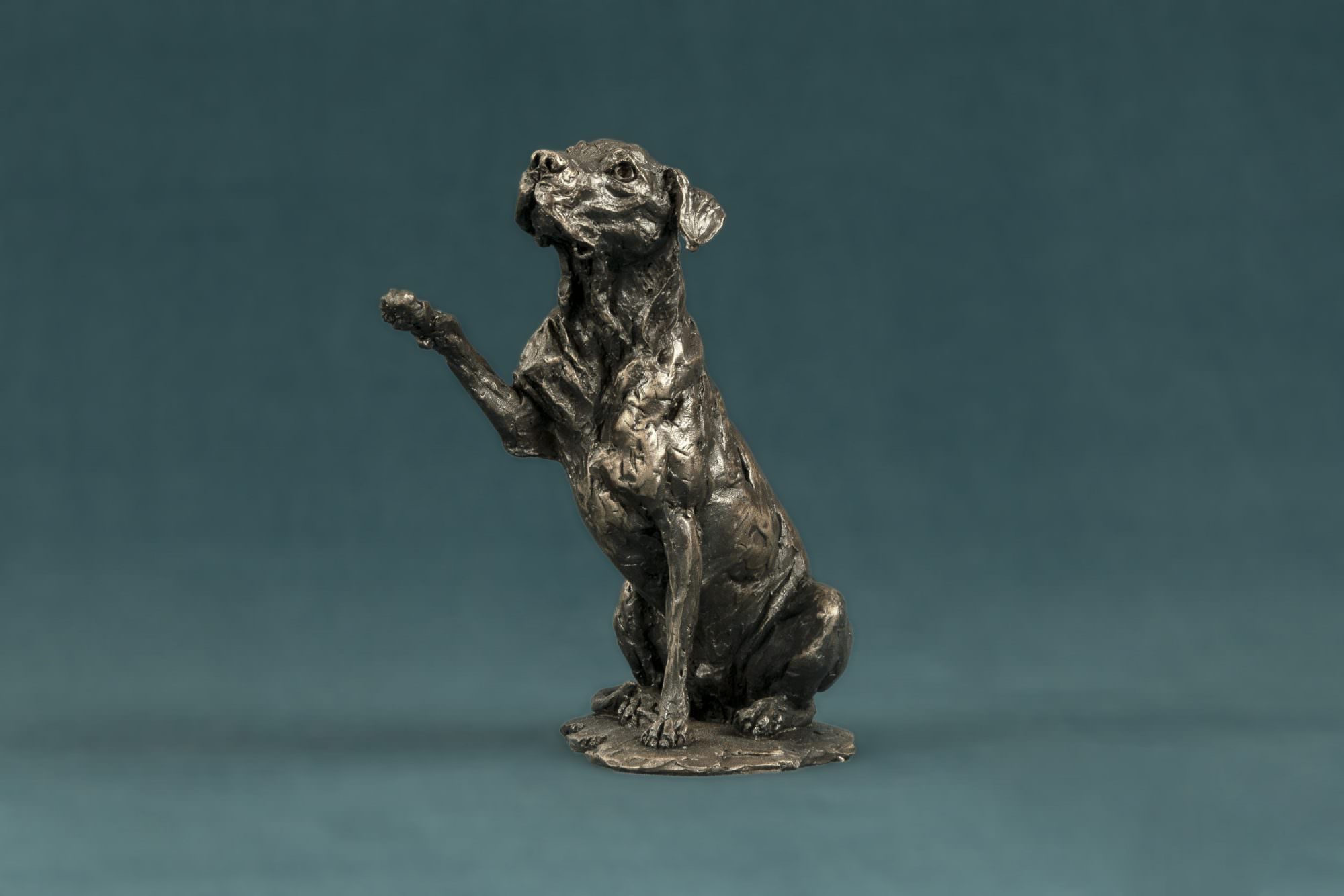 Bronze 'Hope' begging rescue dog sculpture by sculptor Tanya Russell, MRBS