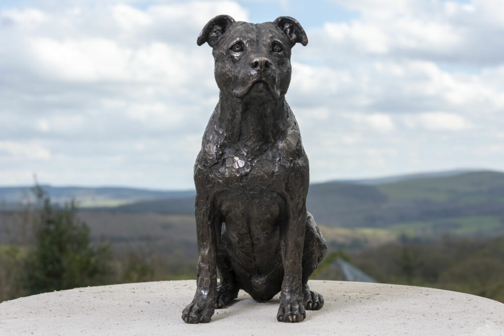 SITTING AMERICAN STAFFORDSHIRE BULL TERRIER SCULPTURE | Tanya Russell