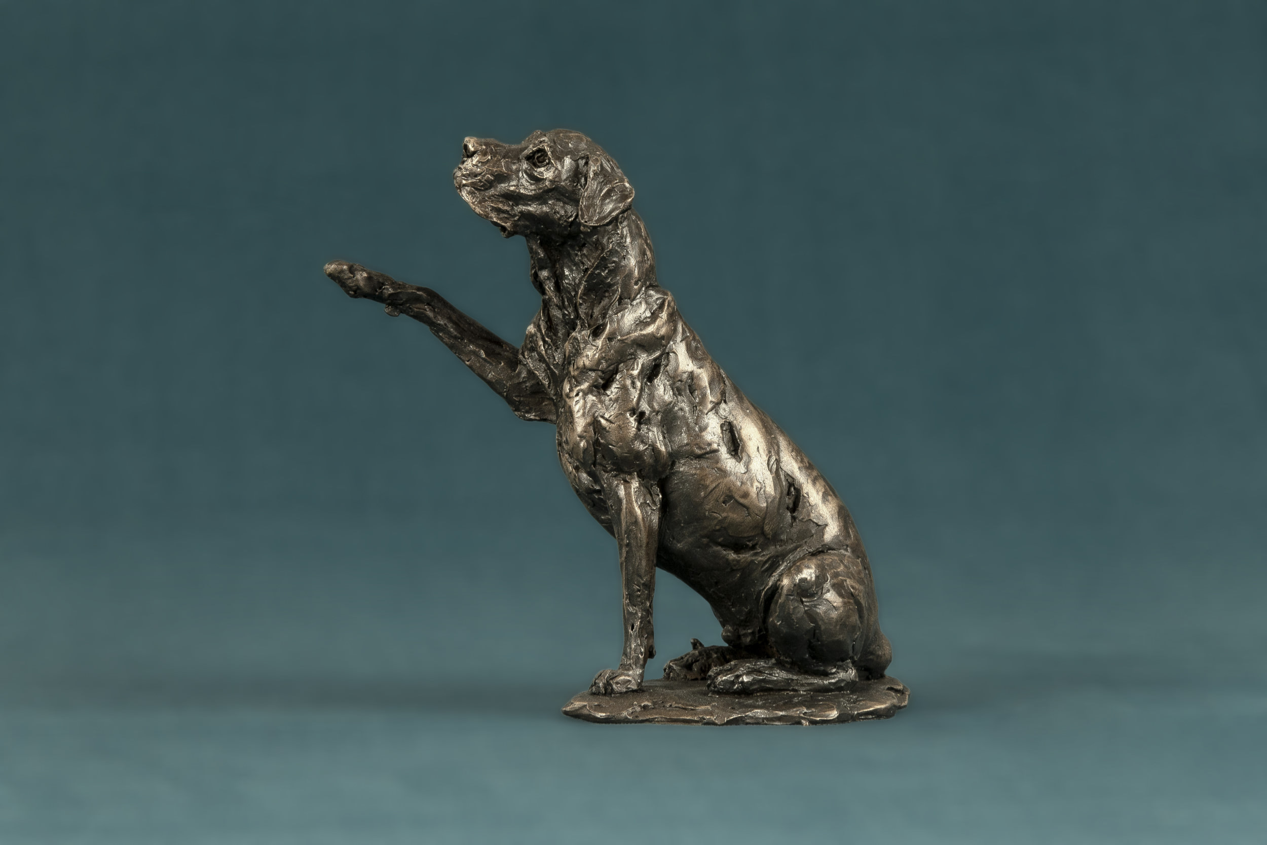 Bronze 'Hope' Begging Rescue Dog Sculpture | Bronze Dog Statue