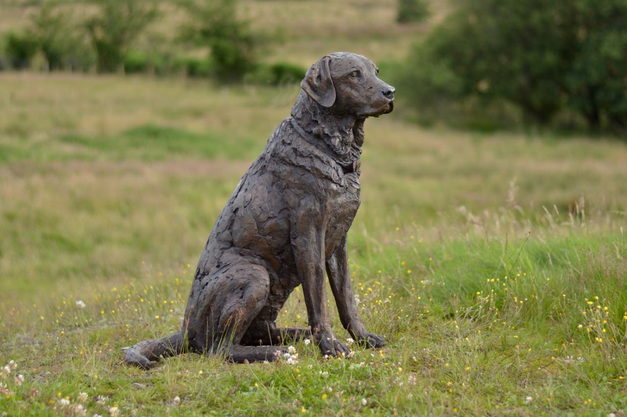 Bronze Labrador sculpture | Labrador statue | Life Size Labrador statue