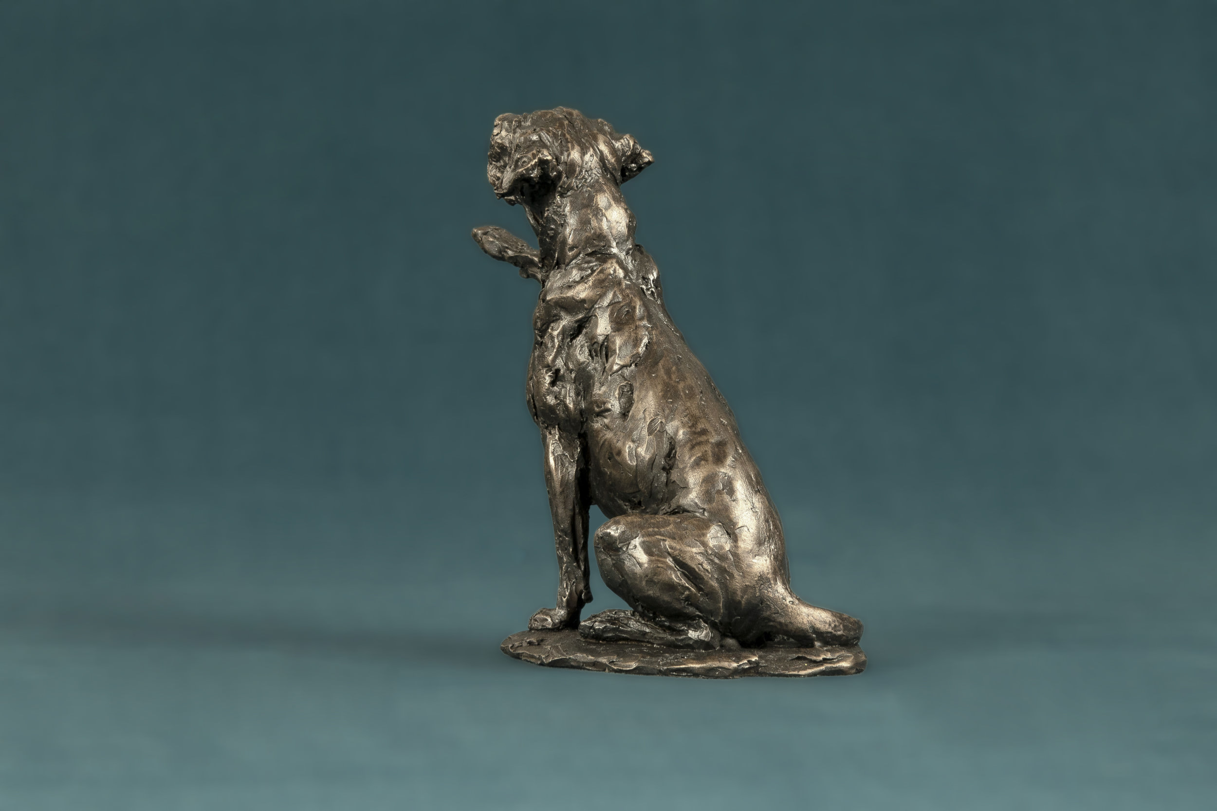 Bronze 'Hope' Begging Rescue Dog Sculpture | Bronze Dog Statue