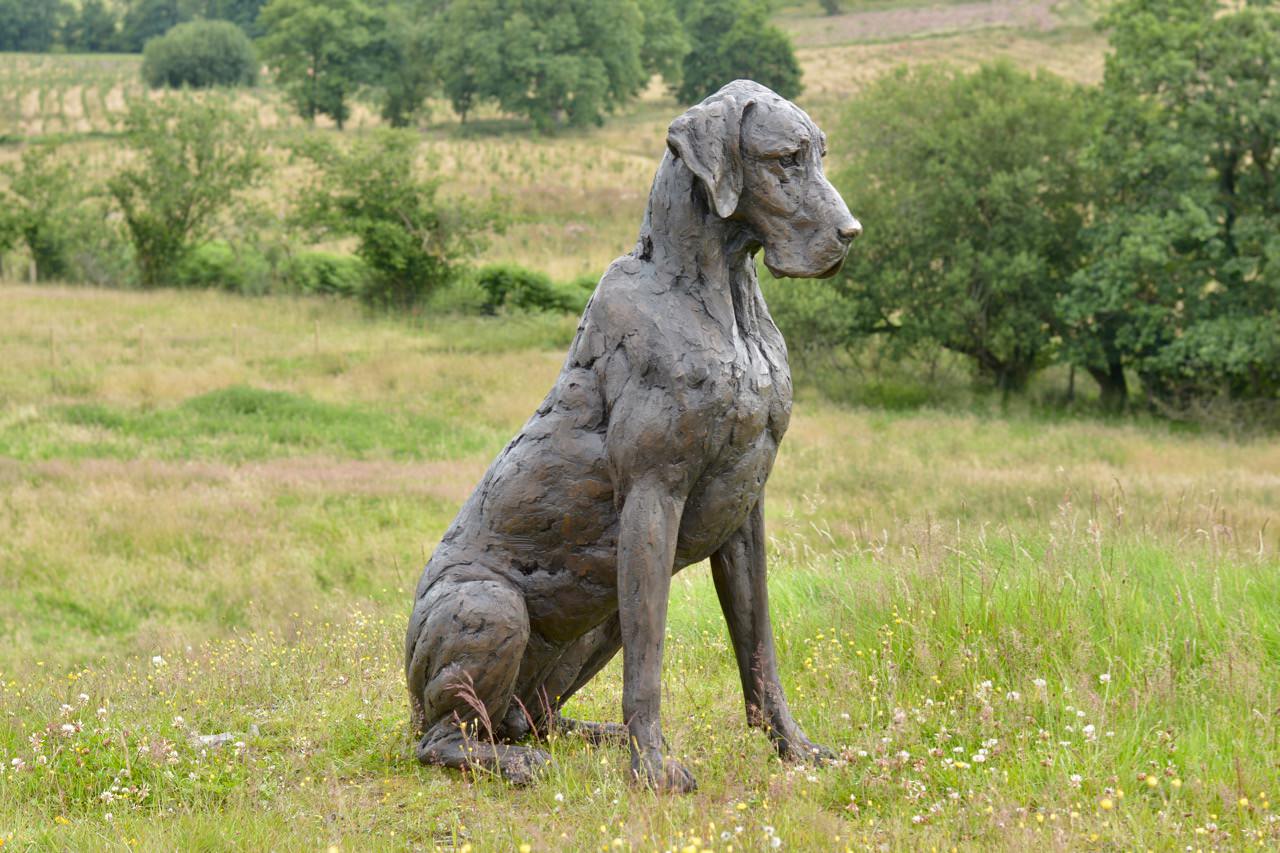 SITTING GREAT DANE SCULPTURE | Tanya Russell