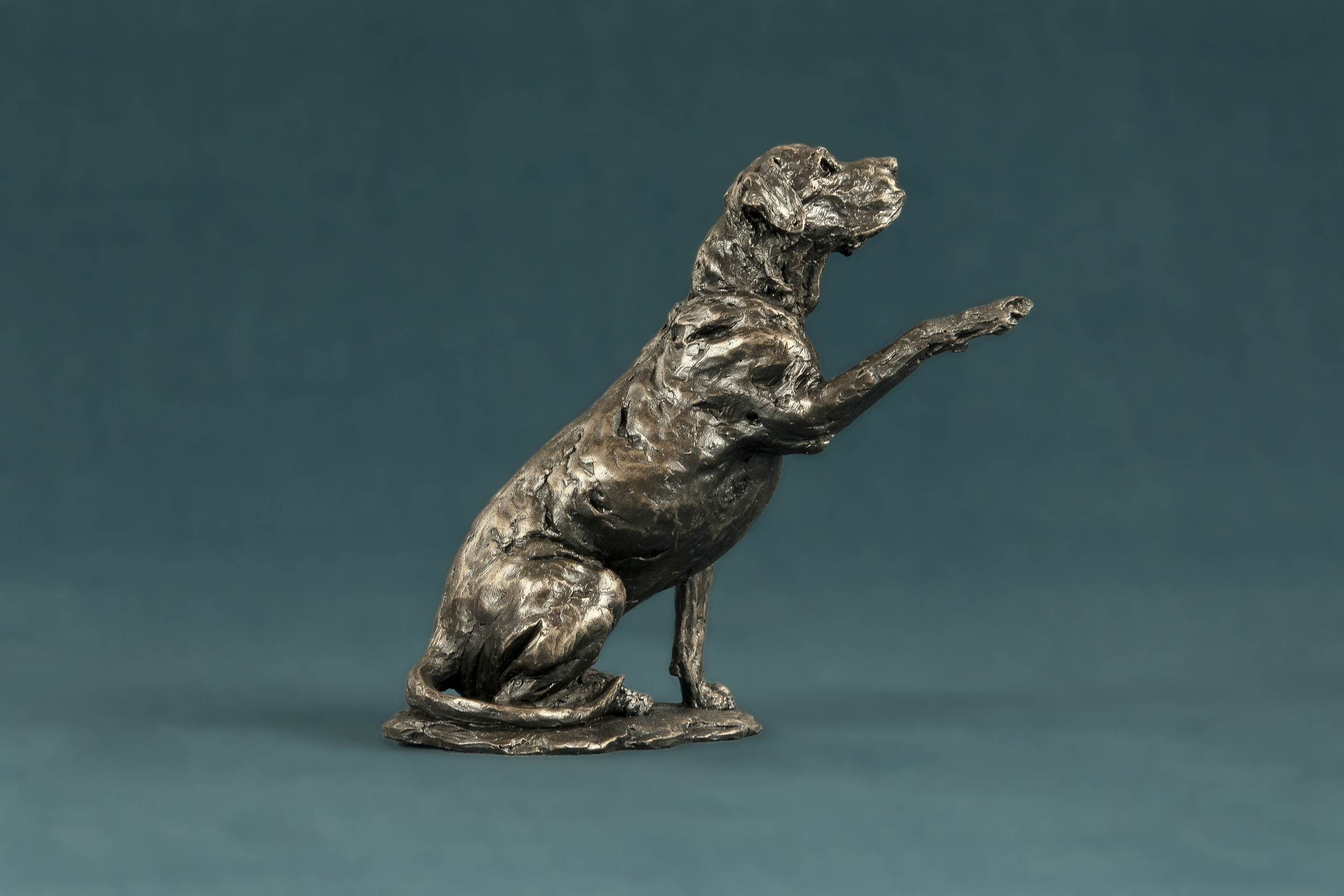 Bronze 'Hope' Begging Rescue Dog Sculpture | Bronze Dog Statue
