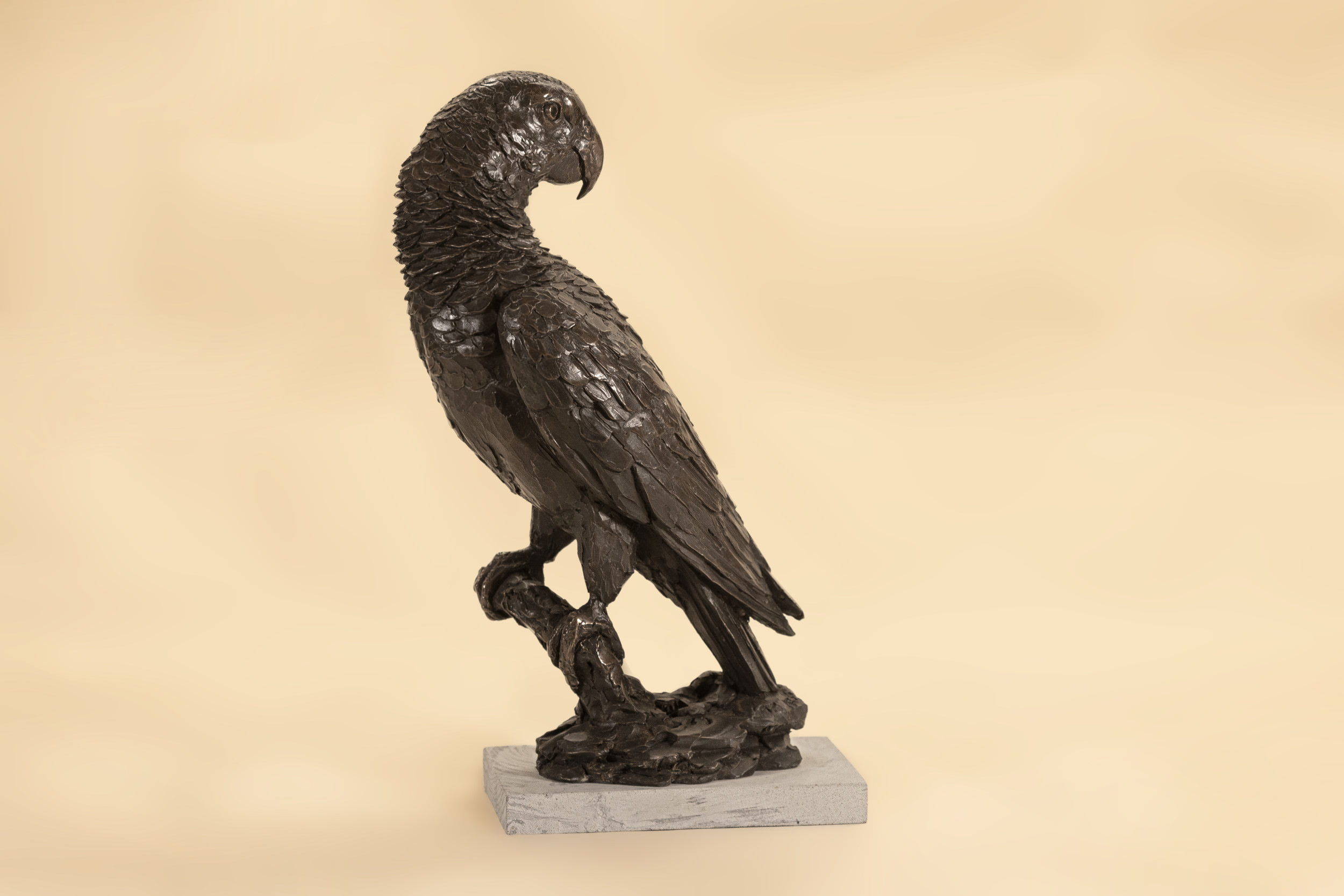 Bronze Parrot Sculpture | Bronze Parrot Statue | Bronze Parrot Ornament