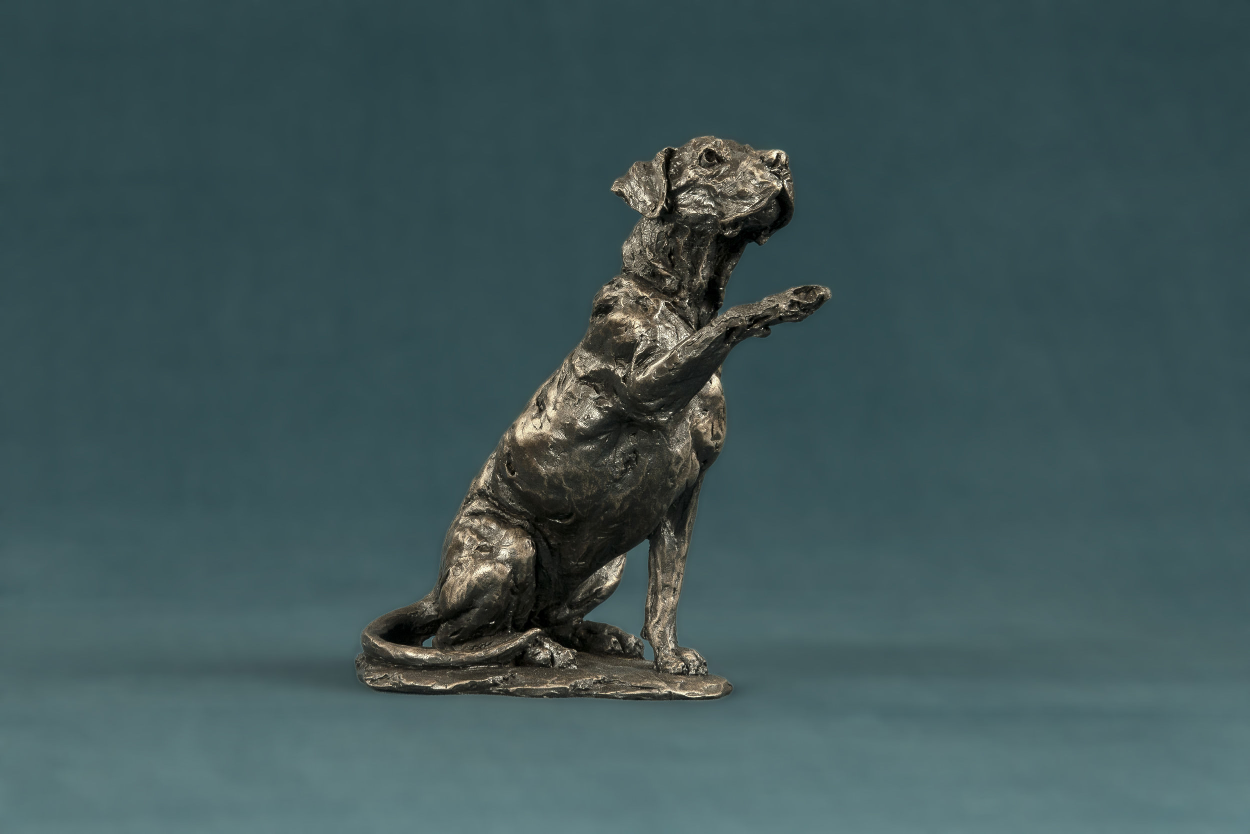 Bronze 'Hope' Begging Rescue Dog Sculpture | Bronze Dog Statue
