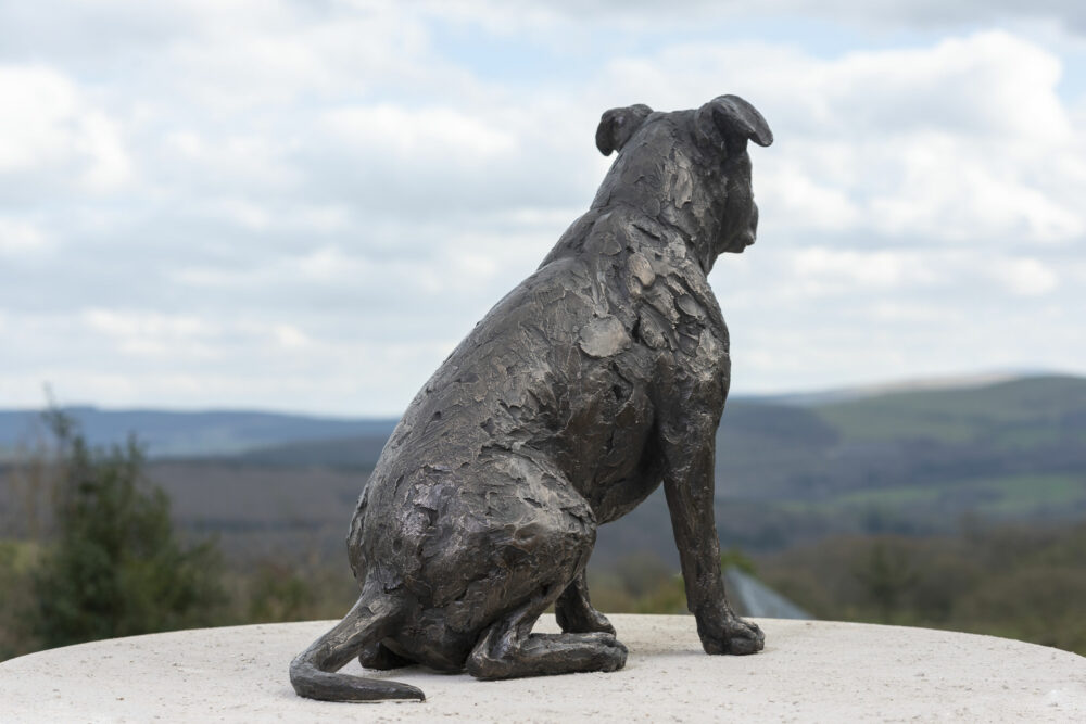 SITTING AMERICAN STAFFORDSHIRE BULL TERRIER SCULPTURE | Tanya Russell