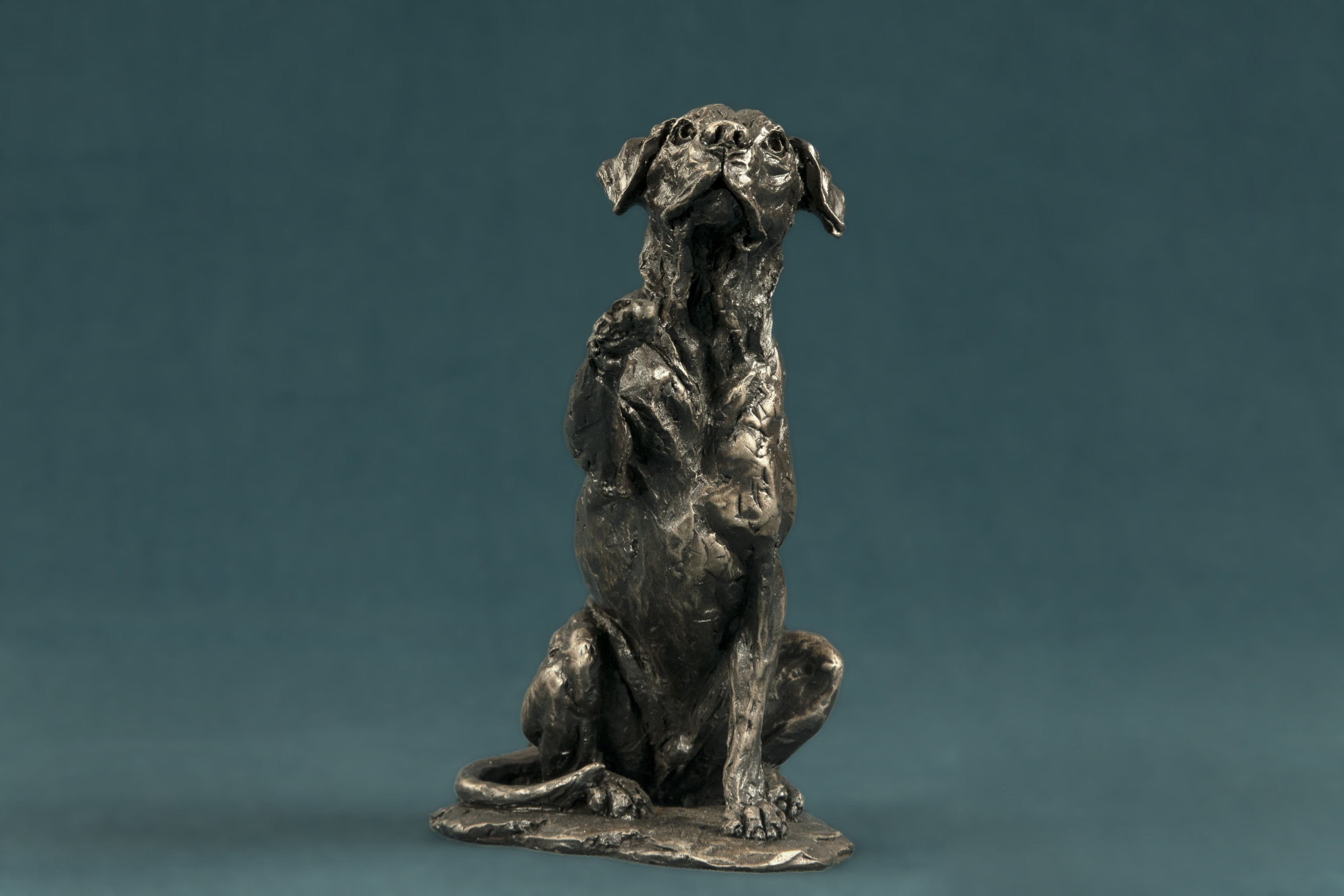 Bronze 'Hope' Begging Rescue Dog Sculpture | Bronze Dog Statue