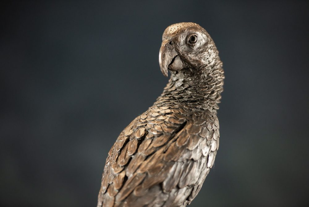 Bronze Parrot Sculpture | Bronze Parrot Statue | Bronze Parrot Ornament