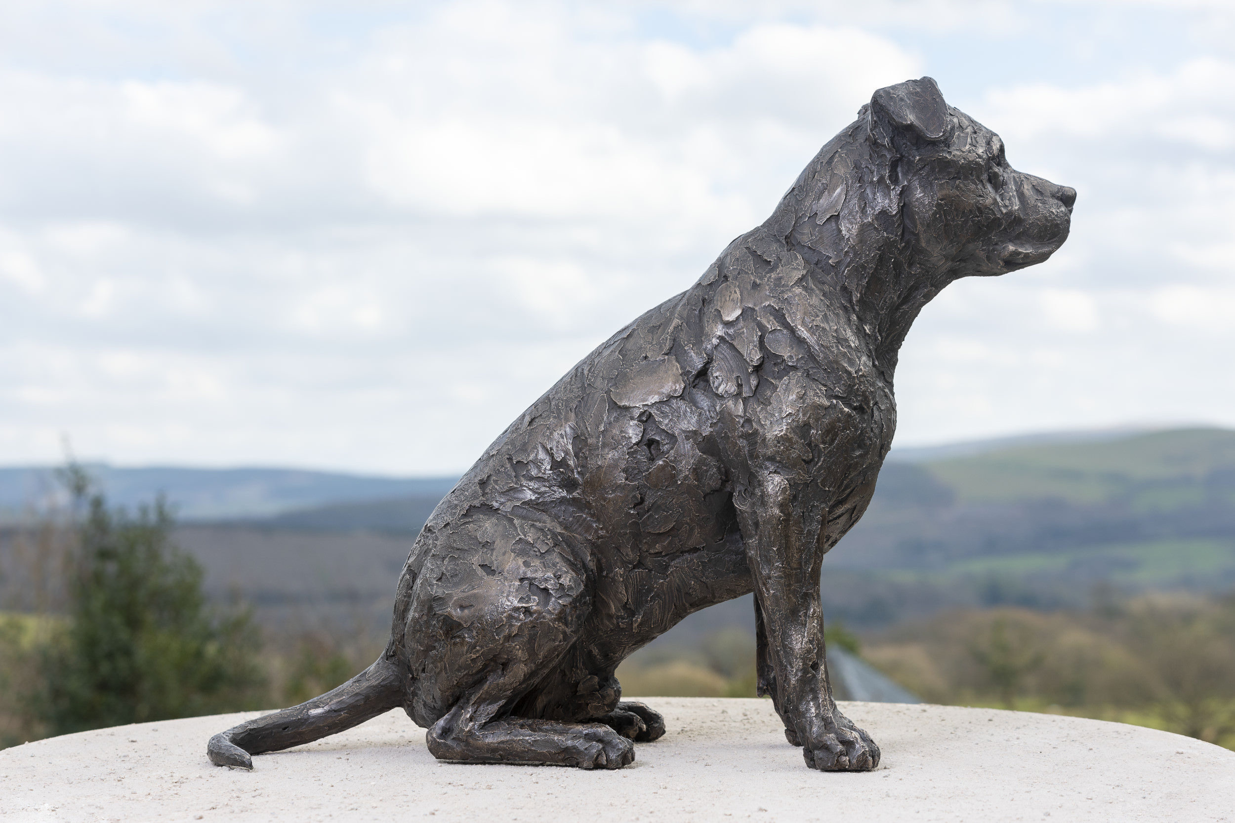 Bronze American Staffordshire Bull Terrier Sculpture | Staffy Dog Statue